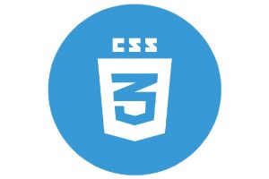 20+ Best Web Development Languages to Learn in 2025