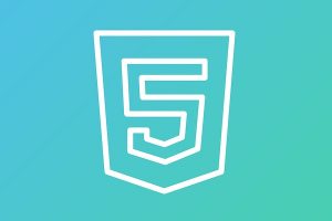 20+ Best Web Development Languages to Learn in 2025